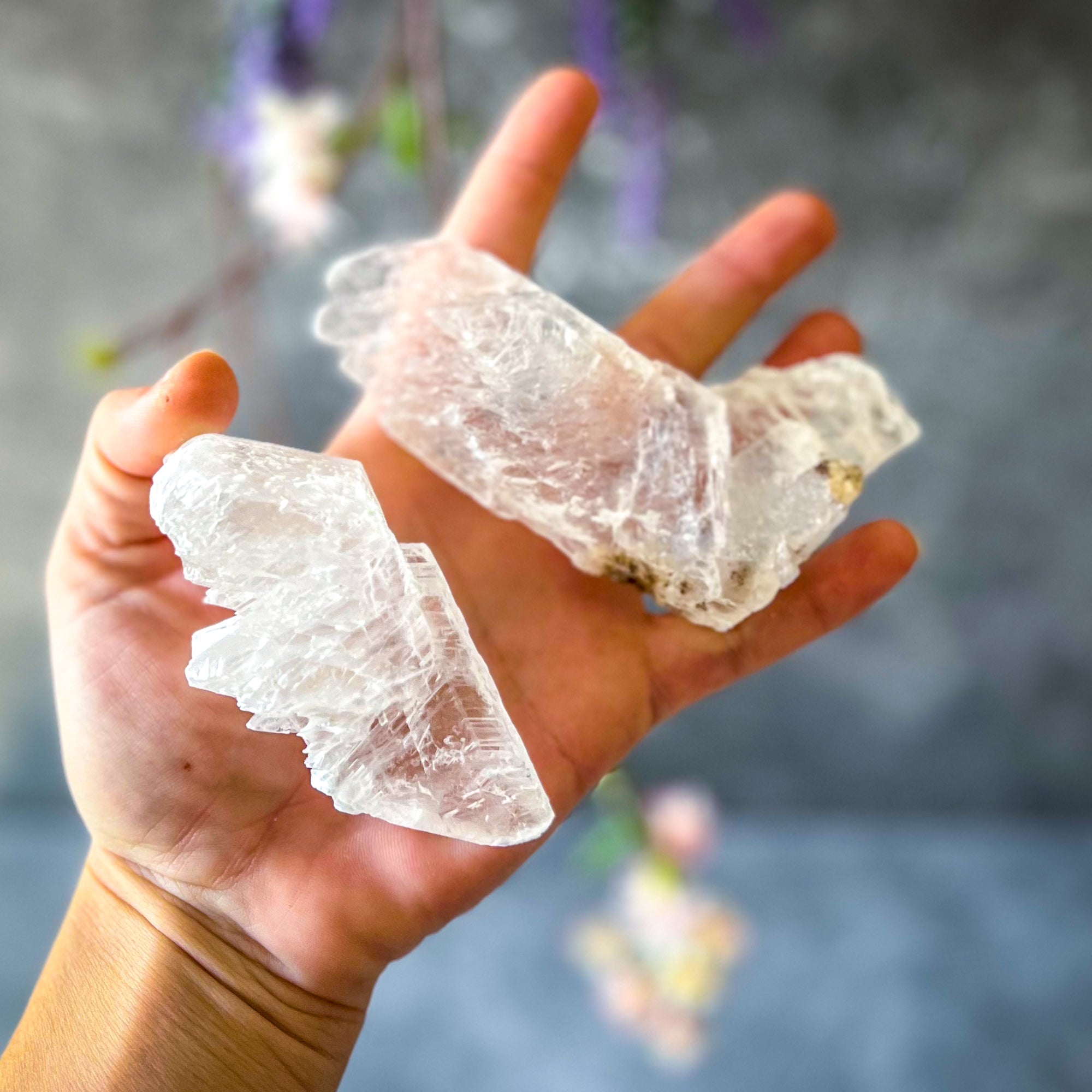 Fishtail Selenite Raw Specimens, Ethically Sourced Water Selenite ...