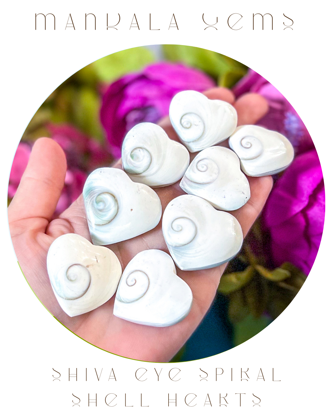 Spiral Shell Heart, Shiva Eye Heart, Valentines Gift – Mandala Gems
